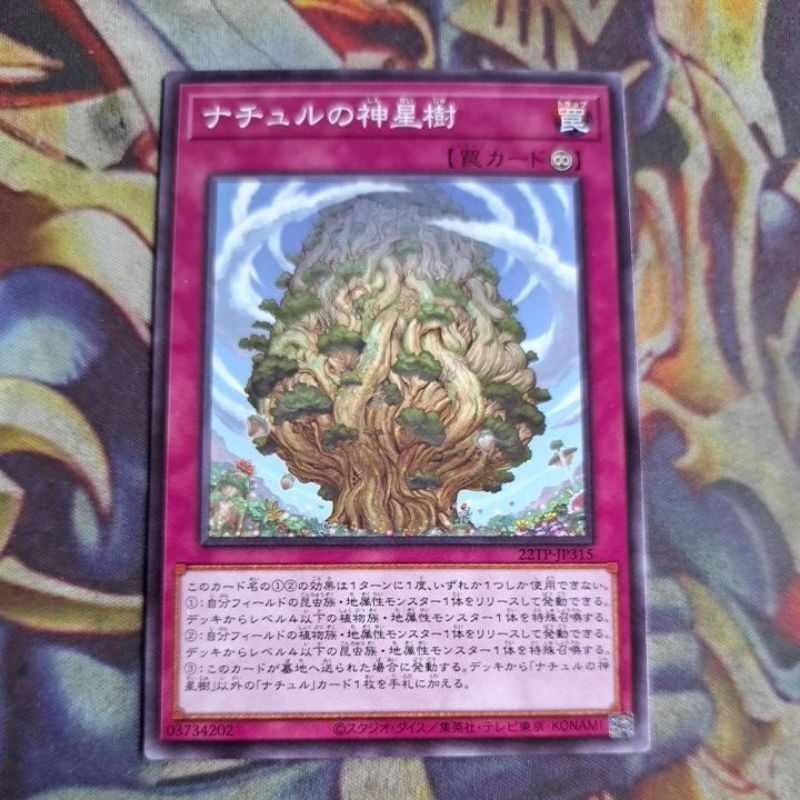 卡片屋 遊戲王 普卡 自然的神星樹 22TP-JP315 NECH-JP076 SD45-JP037 | 蝦皮購物
