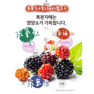 🔥現貨🔥[附發票]韓國BOTO膠原蛋白石榴汁 70ml/包 覆盆莓風味紅石榴飲榴70ml/包 飲料 美容 石榴汁 | 蝦皮購物