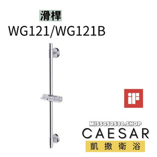 Caesar 凱撒衛浴 WG121 滑桿 可調整 SPA淋浴用 升降滑桿組 蓮蓬頭滑桿 不鏽鋼 滑桿 把手滑桿 把手掛鉤 | 蝦皮購物