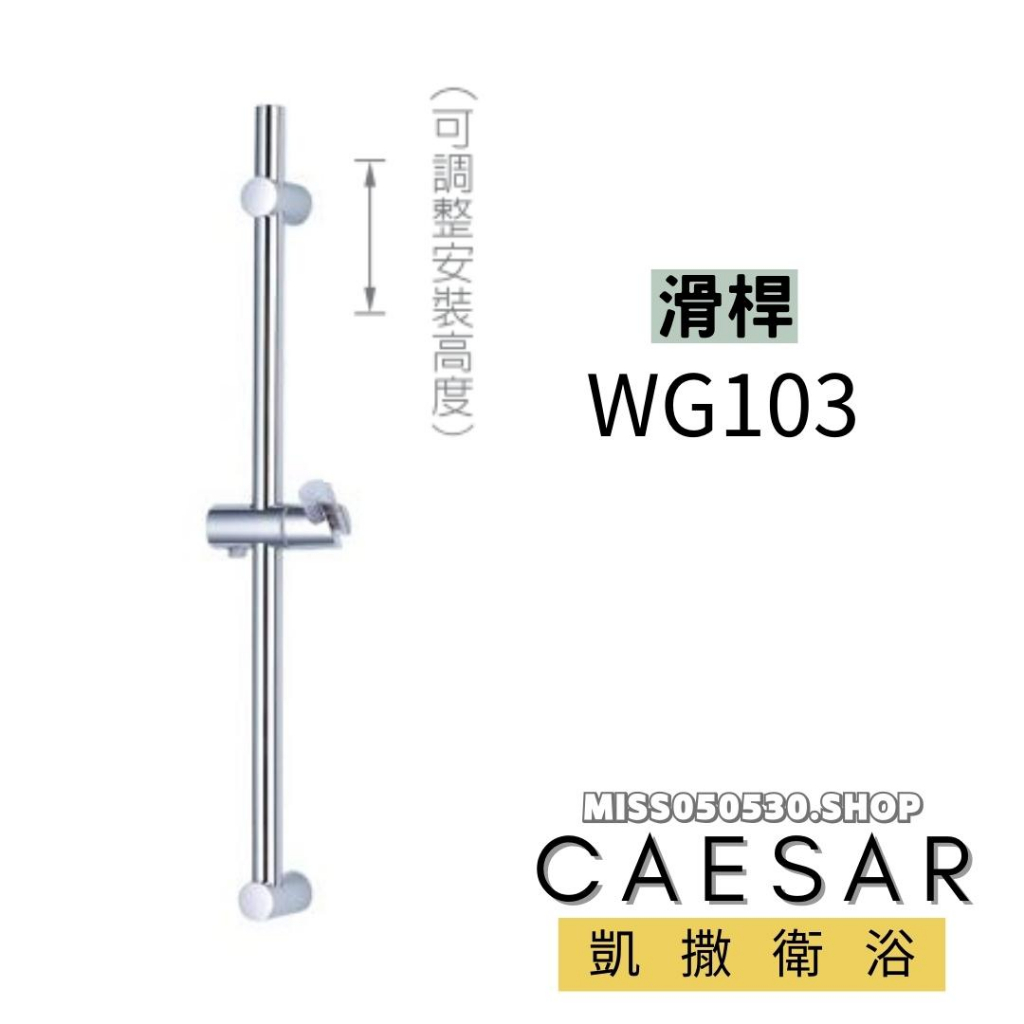 Caesar 凱撒 WG103 (可上下調整) 升降桿 滑桿組 蓮蓬頭滑桿 把手滑桿 滑桿 龍頭升降桿 | 蝦皮購物
