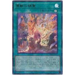 【DCT_緣夢の城】遊戲王 TW01-JP125 靈獸的繼聖 金亮全鑽 90-95分 | 蝦皮購物