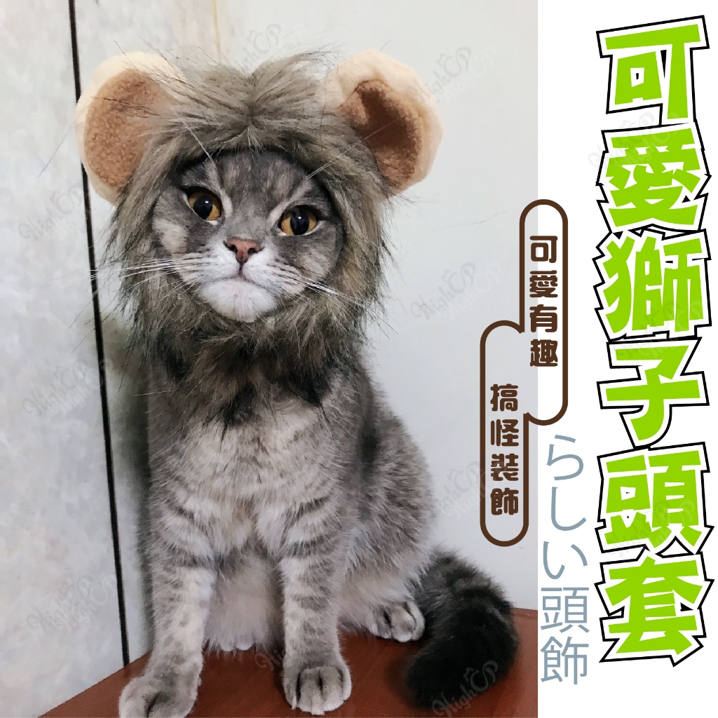 寵物頭套 獅子頭套 獅子帽 貓咪頭套 寵物帽 造型頭套 獅子耳朵帽 貓咪頭套 貓寫真 貓頭套【HIGHCP寵物百貨】 | 蝦皮購物