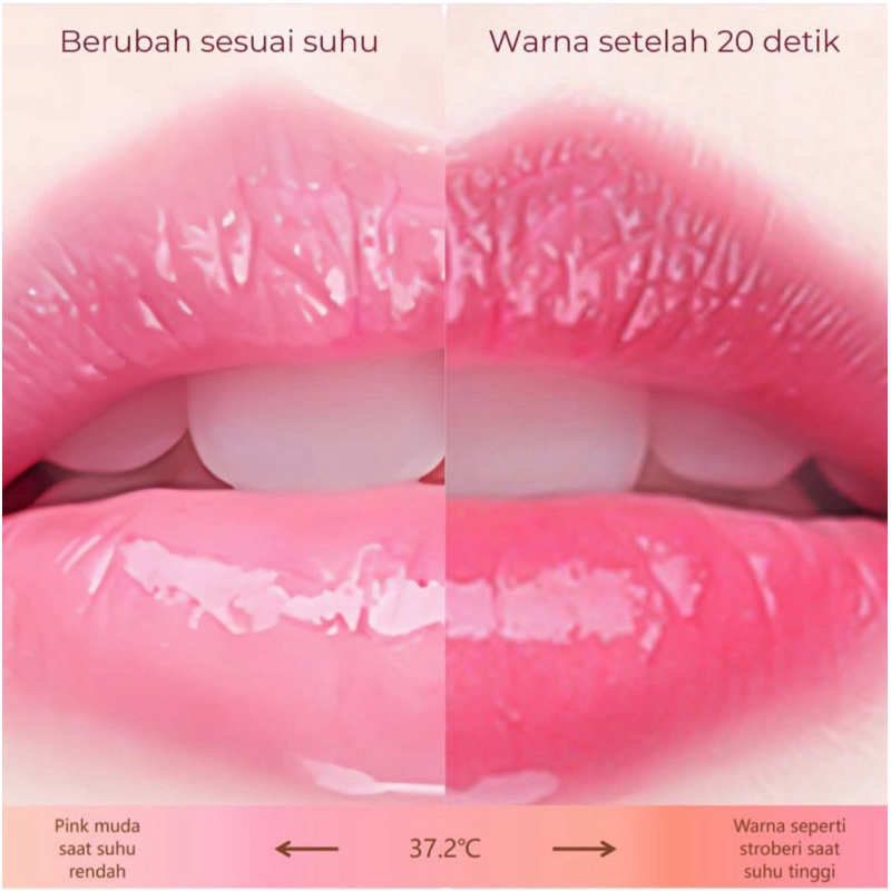 DAVIENA SKINCARE 6X Pro-oil Moist Lip Serum 4ml | 蝦皮購物