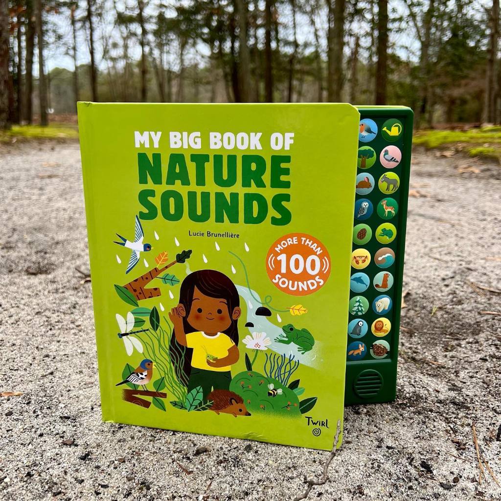 英文硬頁大自然音效按鍵書🍀My Big Book of Nature Sounds🍀100種聲音和英文單字🍀缺書店 | 蝦皮購物