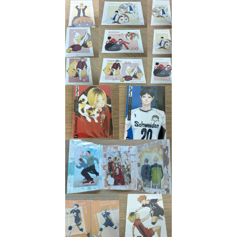排球少年 TOHO JF2024 明信片 吉祥物 日向 黑尾 研磨 木兔 赤葦 宮侑 宮治 烏野 音駒 梟谷 稻荷崎 | 蝦皮購物
