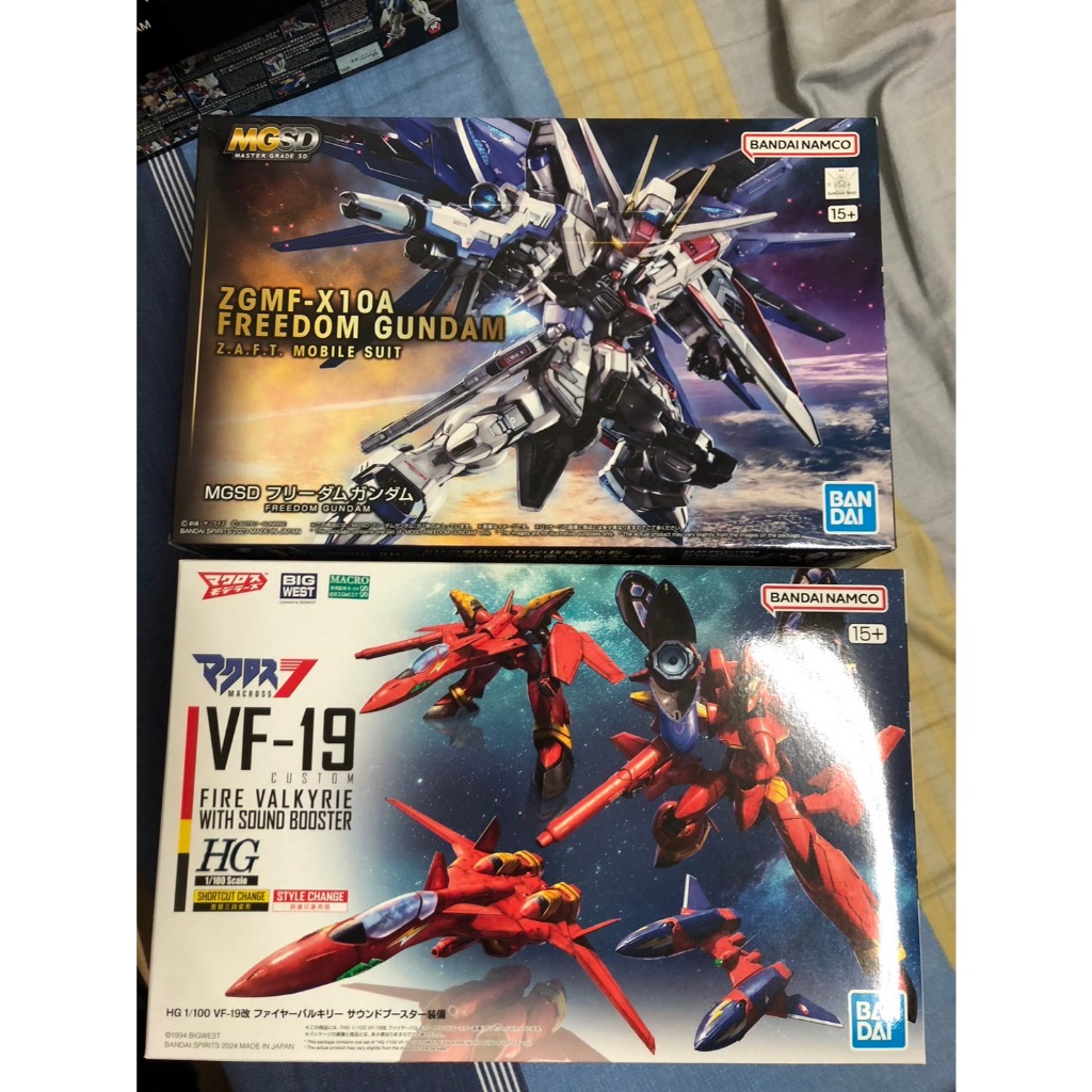 合售 MGSD 自由鋼彈 HG 超時空要塞 VF-19改 火焰女武神 音響推進器裝備 非 MG 全能攻擊自由 命運鋼彈 | 蝦皮購物