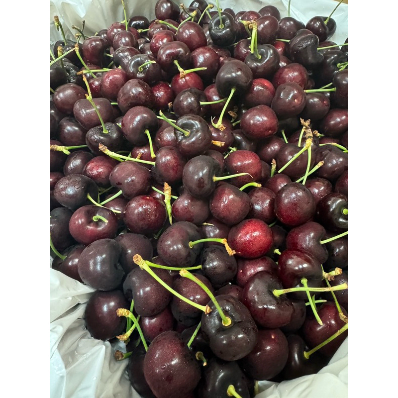 🇺🇸美國進口🍒skeena 櫻桃8.5R原裝箱2kg/5kg | 蝦皮購物
