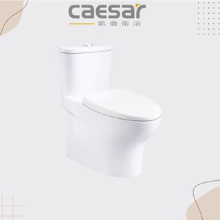 【CAESAR凱撒/原廠保固 】二段式省水單體馬桶CF1394/CF1494 金級省水、SIAA抗菌便座 不含安裝 | 蝦皮購物