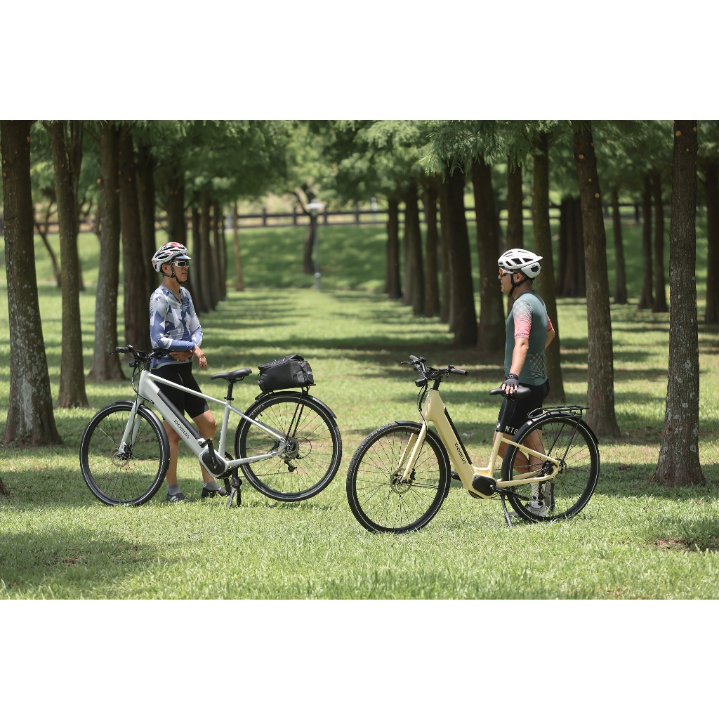 ~騎車趣~DOSUN CTPro 電輔旅行自行車 電輔車 中置馬達 快充 | 蝦皮購物