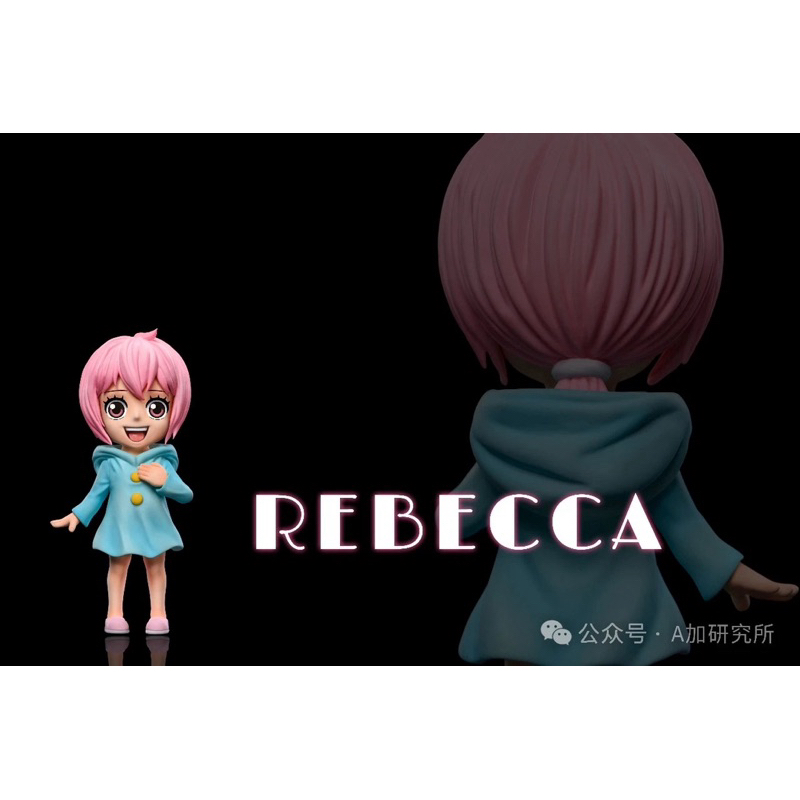 現貨 A+研究所 德雷斯羅薩共鳴 童年蕾貝卡 全新未拆 海賊王 WCF GK | 蝦皮購物