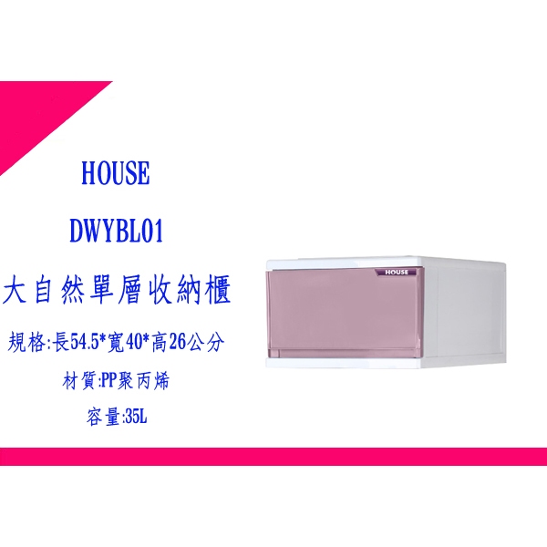 ∮出現貨∮運費80元 大詠 HOUSE TWL01 大自然單層收納櫃 整理箱 置物箱 塑膠箱 | 蝦皮購物