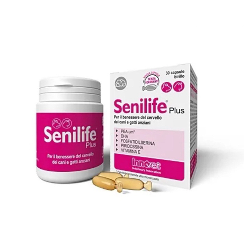 出清～公司貨 法國Senilife腦力活老犬腦部營養補充劑/30粒(膠囊） | 蝦皮購物