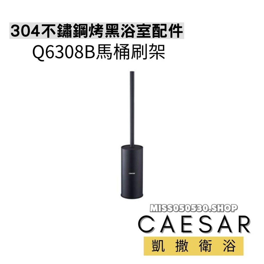 Caesar 凱撒衛浴 Q6308B 烤漆黑 不鏽鋼 304不鏽鋼 馬桶刷架 馬桶刷 浴室配件 | 蝦皮購物