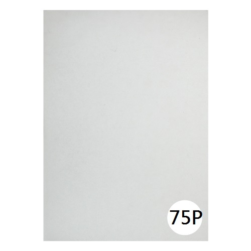 寶山牌 描圖紙 (10張入) (55g) (A4) (西德進口) | 蝦皮購物