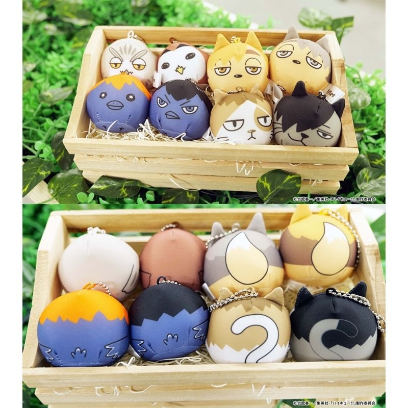 揪團】約2月到貨]排球少年 日本TOHO限定JF2024限定先行販售動物糰子/影山日向宮侑宮治木兔赤葦吉祥物饅頭娃娃徽章 | 蝦皮購物