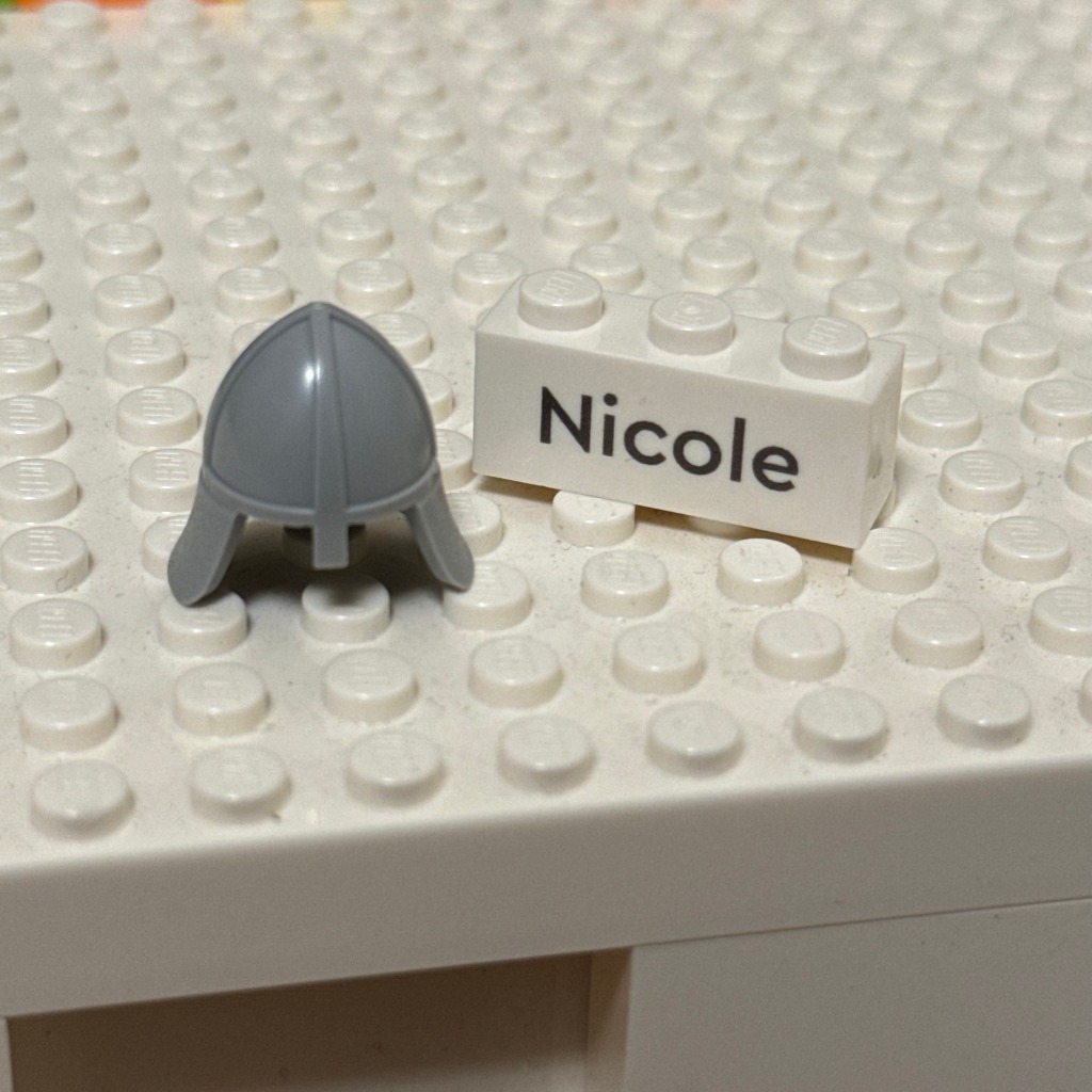 樂高 LEGO 淺灰色 騎士 頭盔 城堡 人偶 零件 4211827 | 蝦皮購物