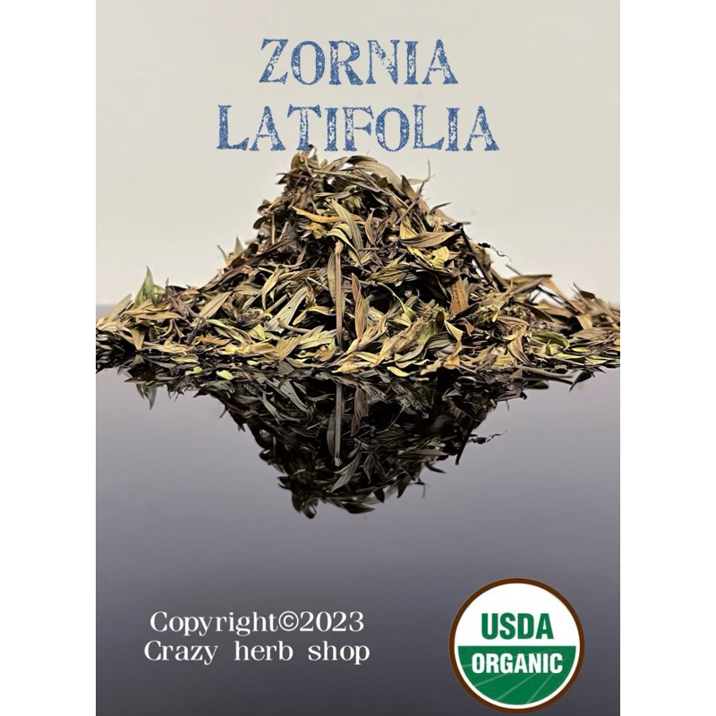 瘋植療癒所 Zornia Latifolia 闊葉丁葵 5g | 蝦皮購物