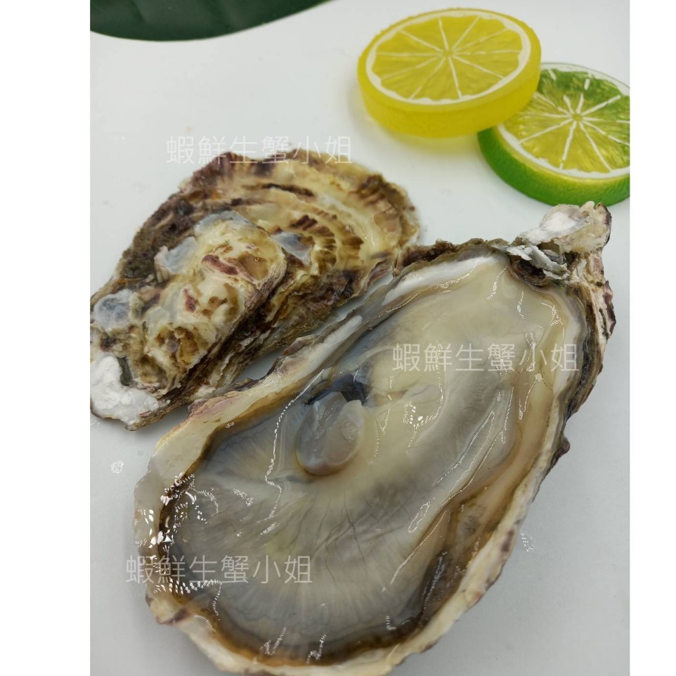 【海鮮7-11】全殼生蠔 80-110g 一包11粒裝 *生食級日本生蠔，鮮度肥度破表!! **每包430元* | 蝦皮購物
