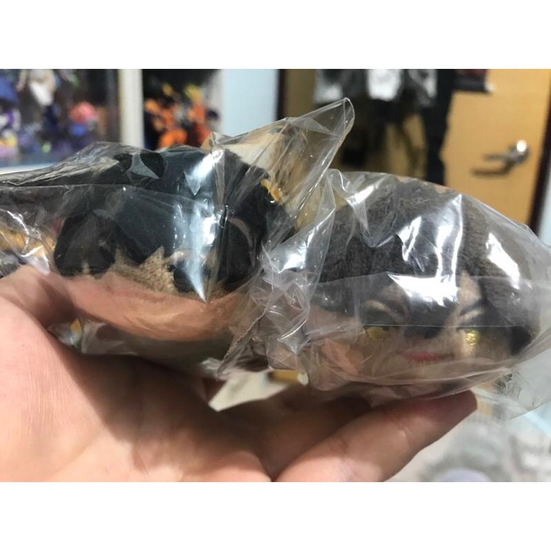 FGO 阿拉什 奧茲曼迪亞斯 拉二 法老 全新 趴娃 吊飾 絨毛玩具 動漫 遊戲 娃娃 玩偶 布偶 | 蝦皮購物