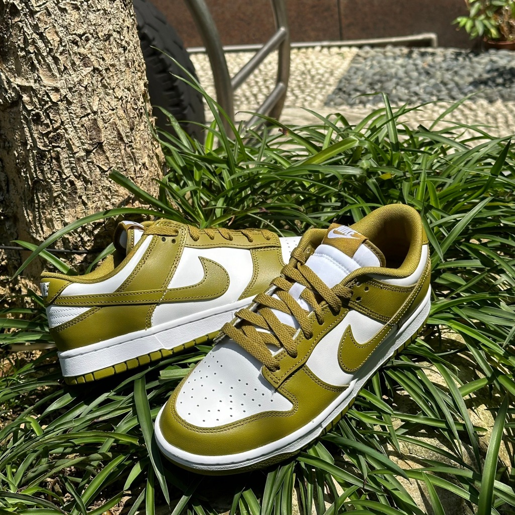 Nike Dunk Low Retro Pacific Moss DV0833-105 抹茶 綠 | 蝦皮購物