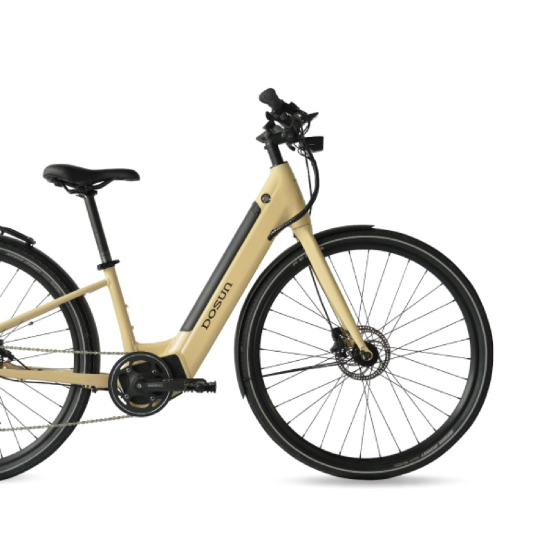 Dosun CTPRO 電輔車 低跨點 電助車 電動自行車 | 蝦皮購物