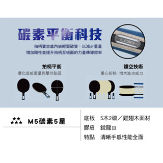 LOKI 雷神 桌球拍 兵乓球拍 桌球 兵乓球 桌拍 練習拍 休閒拍 M5碳素5星 | 蝦皮購物