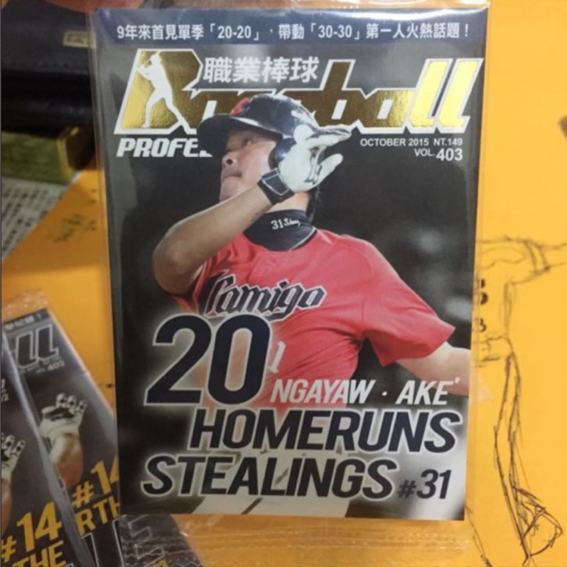 Lamigo 林智勝 大師兄 中信兄弟 味全龍 絕版記錄卡 可參考陳金鋒 彭政閔 中華隊 | 蝦皮購物