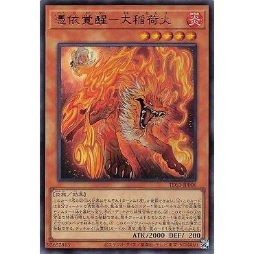 【非想天則之境】TDS1-JP006 憑依覺醒 大稻荷火 (鋼印金亮) (東京巨蛋 決鬥者傳說) | 蝦皮購物
