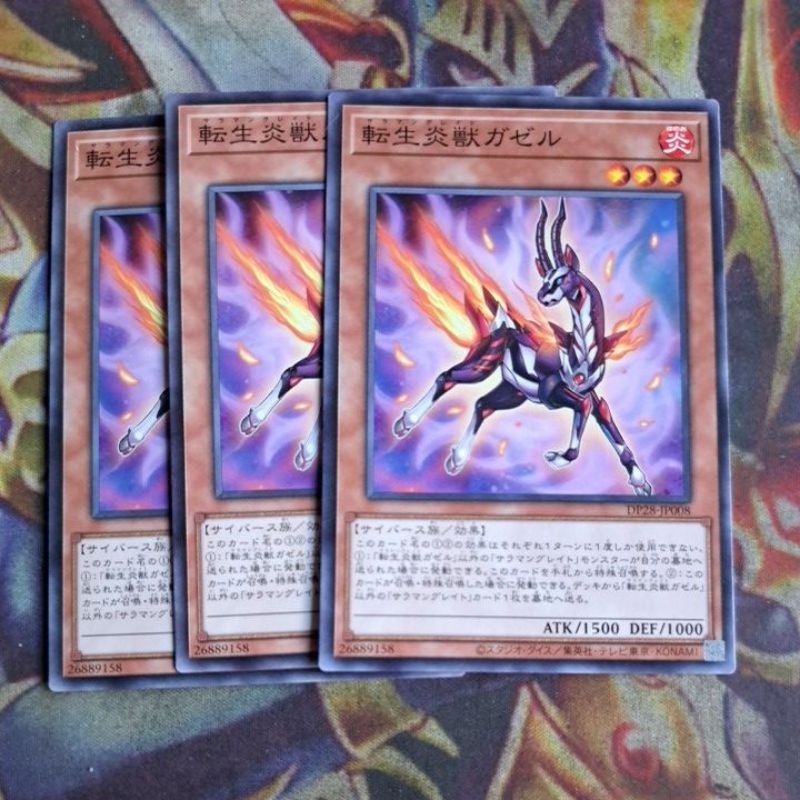 卡片屋 遊戲王 普卡 轉生炎獸 瞪羚 DP28-JP008 3張合售 | 蝦皮購物