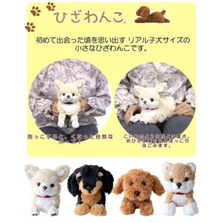 出清優惠※龍貓共和國※日本《 SUNLEMON超療癒 仿真擬真小狗狗 吉娃娃犬 紅貴賓狗＊絨毛娃娃玩偶SS號26公分》 | 蝦皮購物