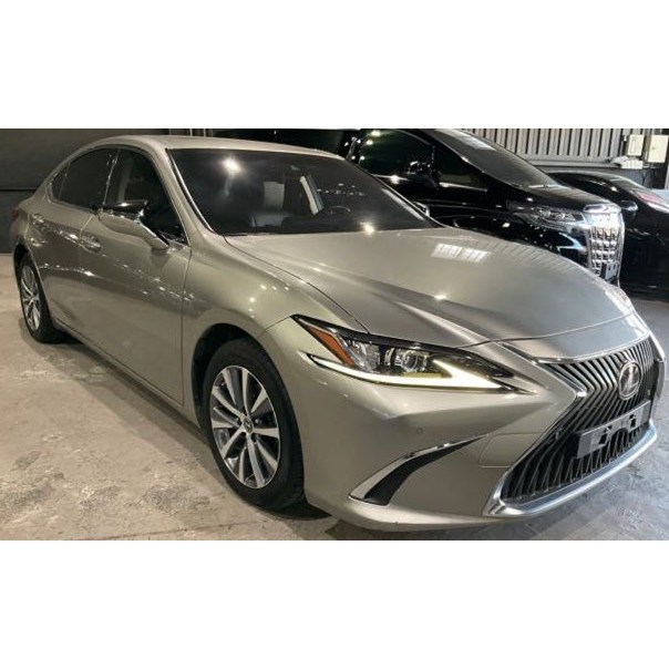 LEXUS ES200 2019-01 棕 2.0 汽油 售價: 79.5萬 | 蝦皮購物