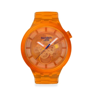 SWATCH, 官方旗艦店 | 蝦皮購物