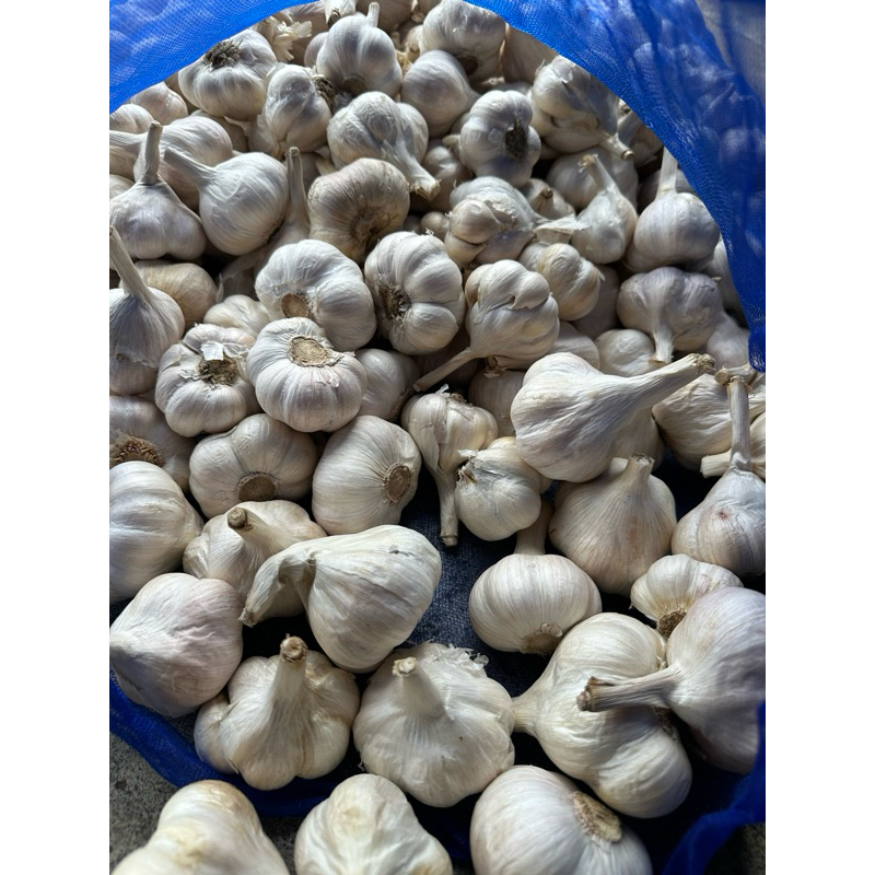 🇹🇼雲林乾蒜頭（Taiwan garlic)600g | 蝦皮購物