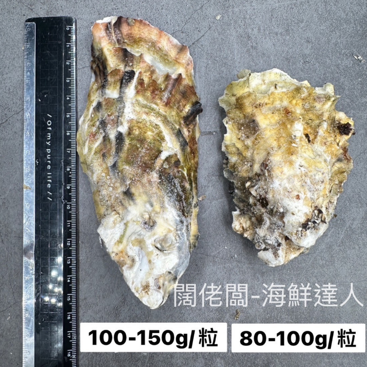 日本全殼生蠔 生食級 生蠔 | 蝦皮購物