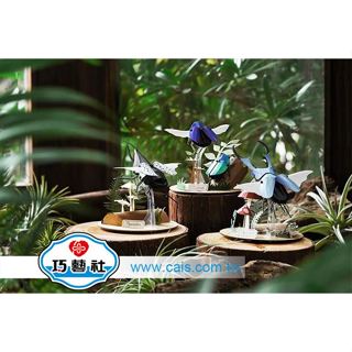 [巧藝社特價館] 知音 昆蟲雷射材料包 立體紙雕 DIY手做材料包 暑假作業 DIY E11 | 蝦皮購物