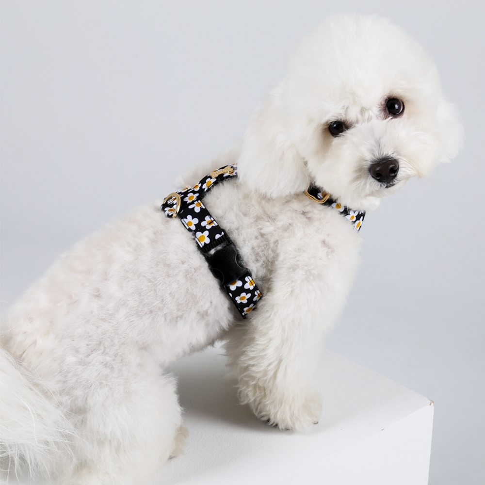 【美好毛日】韓國Noradog 寵物H型胸背-小雛菊 快穿型胸背 快穿胸背 寵物胸背 貓咪胸背 狗狗胸背 胸背帶 | 蝦皮購物