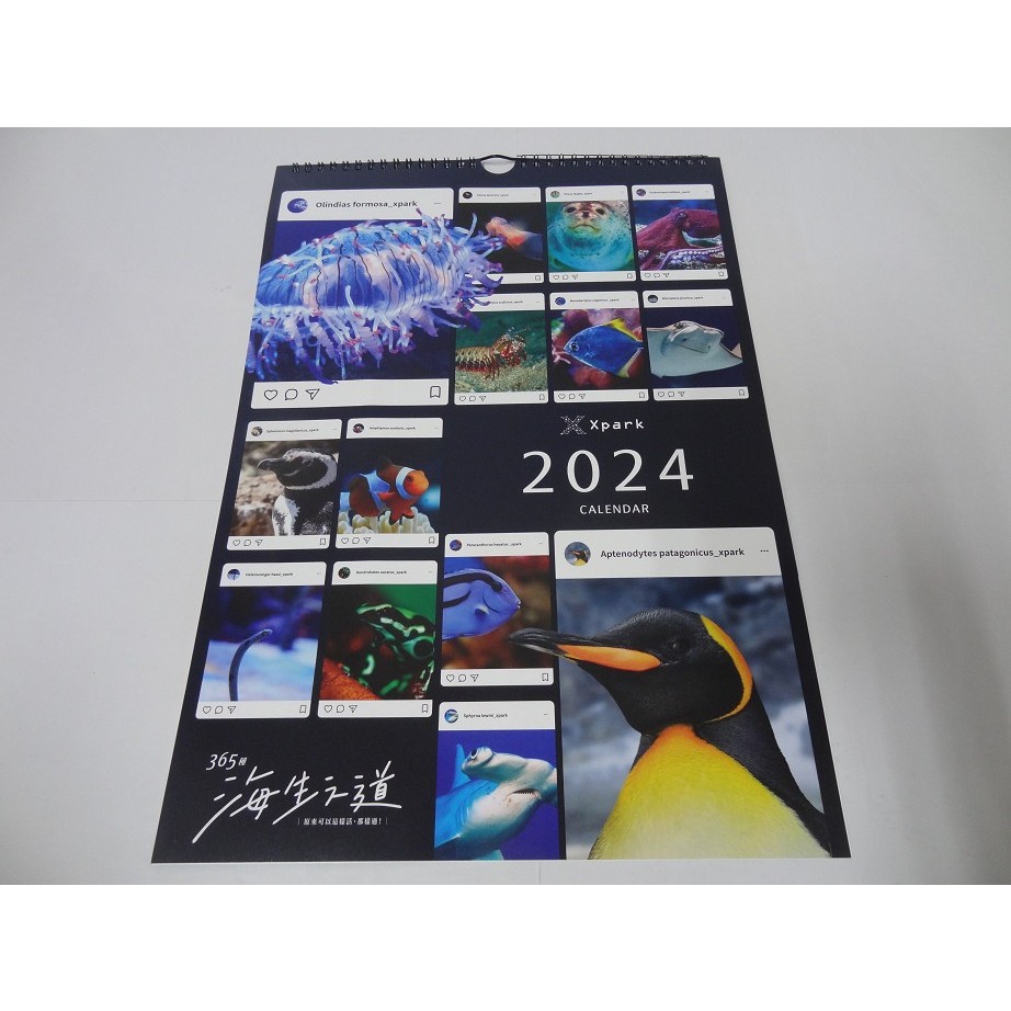 Xpark 2024年月曆 台灣橫濱八景島 365種海生之道 水族館 月曆 大王巨足蟲 水母 國王企鵝【領券免運】 | 蝦皮購物
