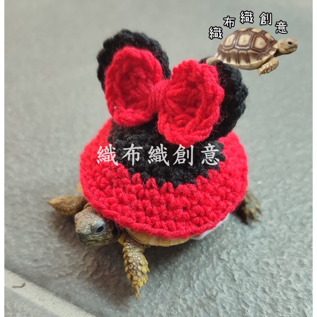 100%手鈎編織 陸龜毛線衣服 創意造型 寵物服飾 拍照 攝影 網美 多款可任選【X003】快速出貨 | 蝦皮購物