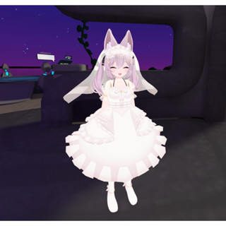 VRChat Avatar Karin 卡琳 代客上傳 換衣 訂製 客製 自訂 角色 模型 人物 皮膚 貓娘 造型 | 蝦皮購物