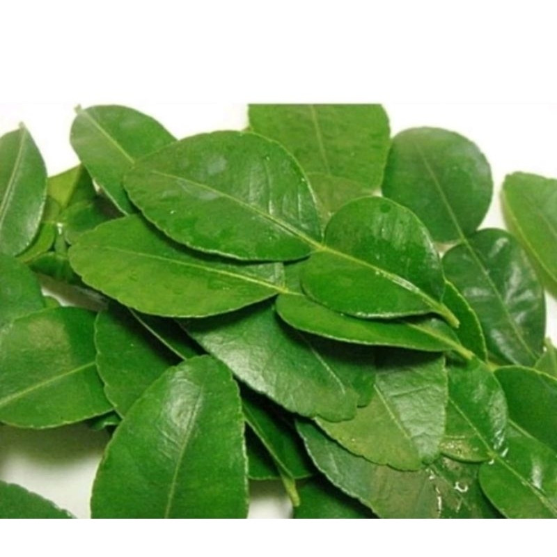 daun jeruk segar/serai berat 20 gram | 蝦皮購物