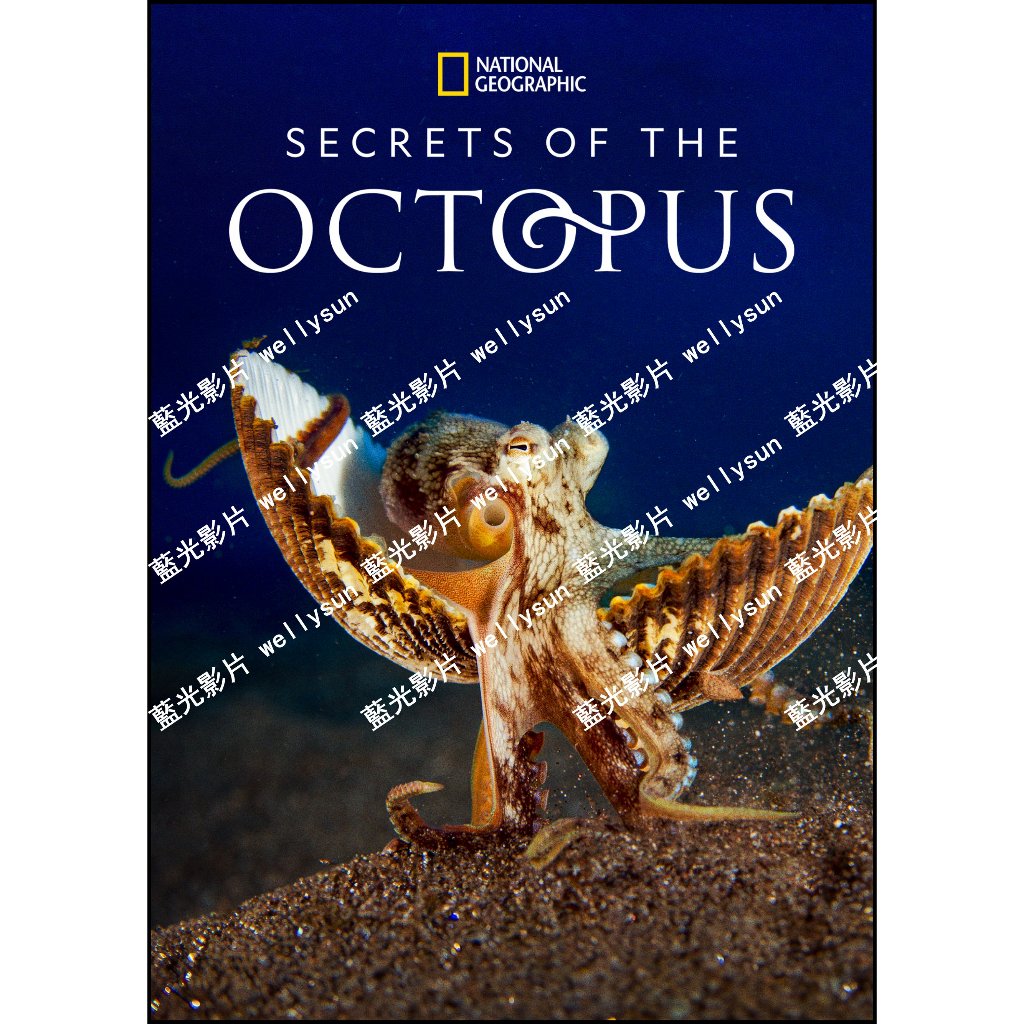 🔥藍光影片🔥 [英] 章魚的秘密 / 章魚之謎 Secrets of the Octopus (2024) | 蝦皮購物