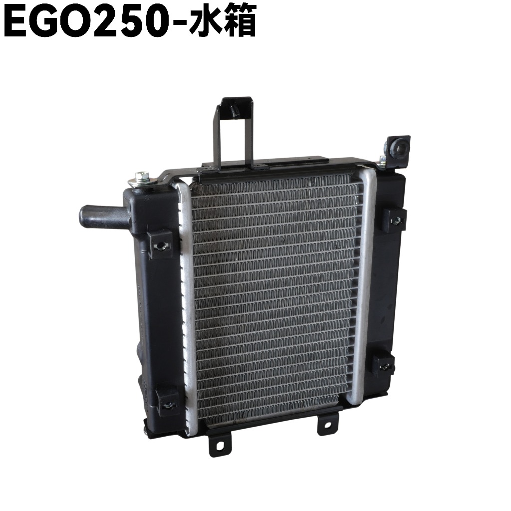 EGO 250-水箱【正原廠零件、SH50CA、光陽】 | 蝦皮購物
