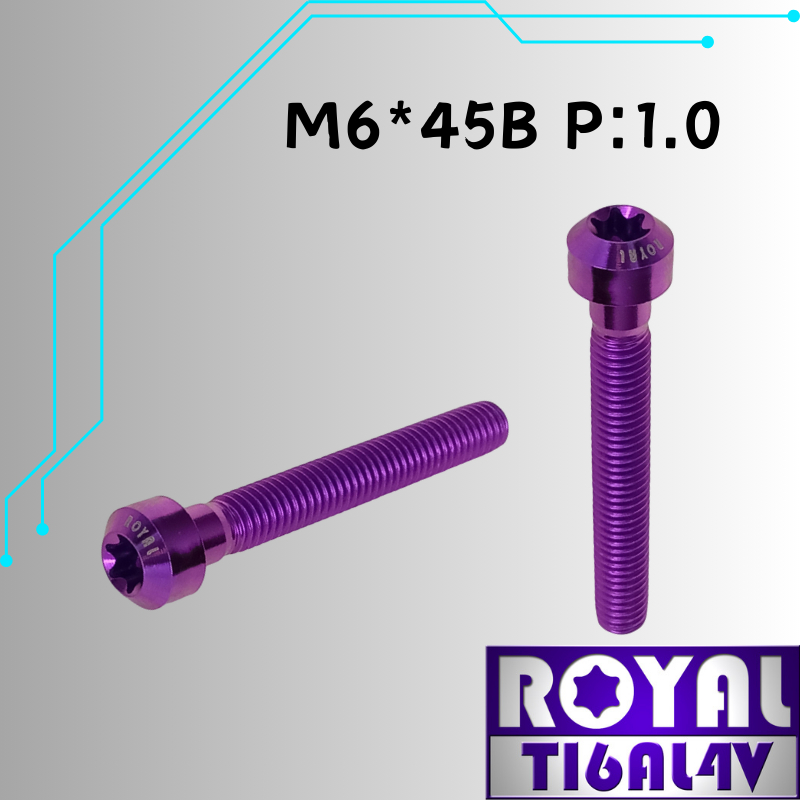 【瘋螺絲】ROYAL 鈦合金螺絲★ M6*45B P:1.0 錐形螺絲★ 64鈦/正鈦/鈦合金螺絲★出貨附發票★皇家紫 | 蝦皮購物