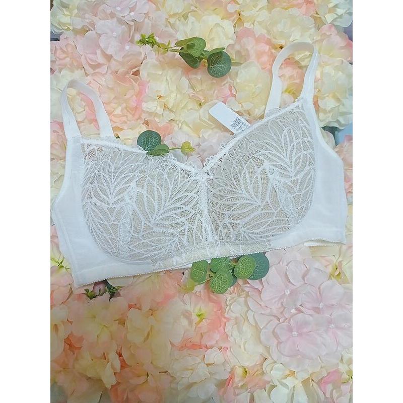 【過季全新商品】Lei轉售D21-024挺胸80D/85C/85D薄杯無鋼圈單內衣(W5白) | 蝦皮購物