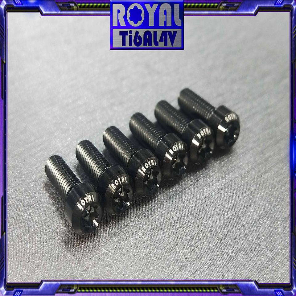 ROYAL鈦合金螺絲★M5*15B P0.8 64正鈦螺絲★CNC鍛造內梅花.內星型螺絲★帝王黑 | 蝦皮購物