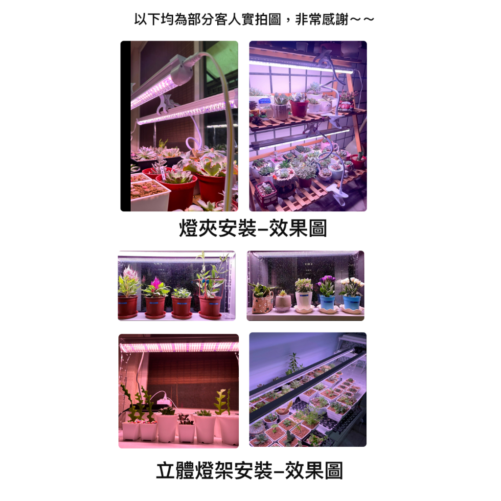 [瑞光植物燈]全光譜植物燈PRO T8/T20 多肉 塊根 龍舌蘭 觀葉 鹿角蕨 上色防徒 燈管 | 蝦皮購物