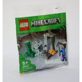 LEGO 30647 The Dripstone Cavern polybag | 蝦皮購物