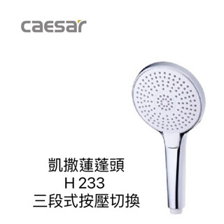 Caesar 凱撒衛浴 三段按摩花灑 SH233 SH233B 按摩把手 沐浴把手 花灑把手 蓮蓬頭花灑 附發票 | 蝦皮購物