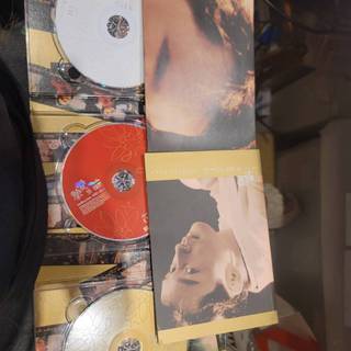 摯愛張國榮1995-2003全紀錄 (2CD/附VCD) | 蝦皮購物