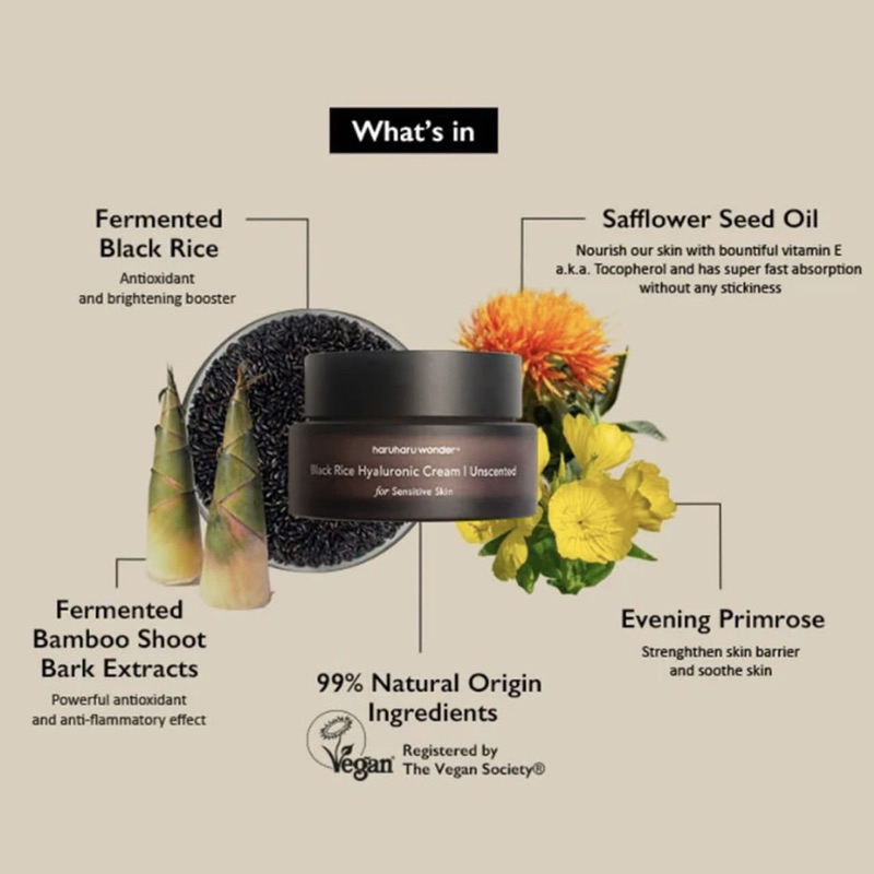 Haru Haru Wonder Black Rice Hyaluronic Cream 50g | 蝦皮購物